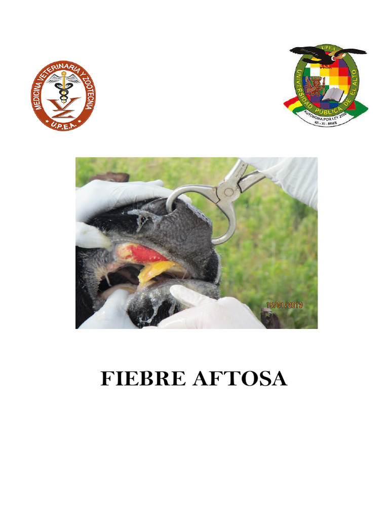 Fiebre Aftosa: Impacto y Diagnóstico | PDF | Infección | Virus