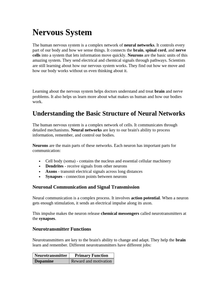Understanding the Human Nervous System | PDF | Nervous System | Neuron