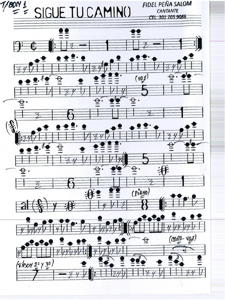 Sigue Tu Camino | PDF