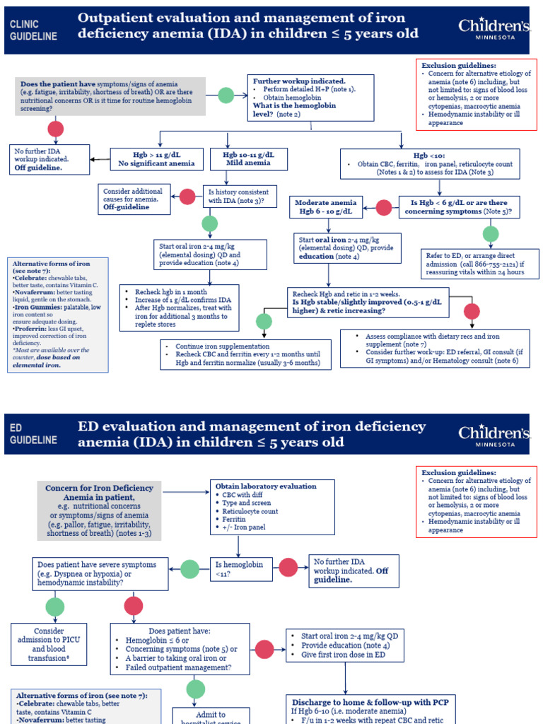 iron-deficiency-anemia-guideline | PDF | Anemia | Diseases And Disorders