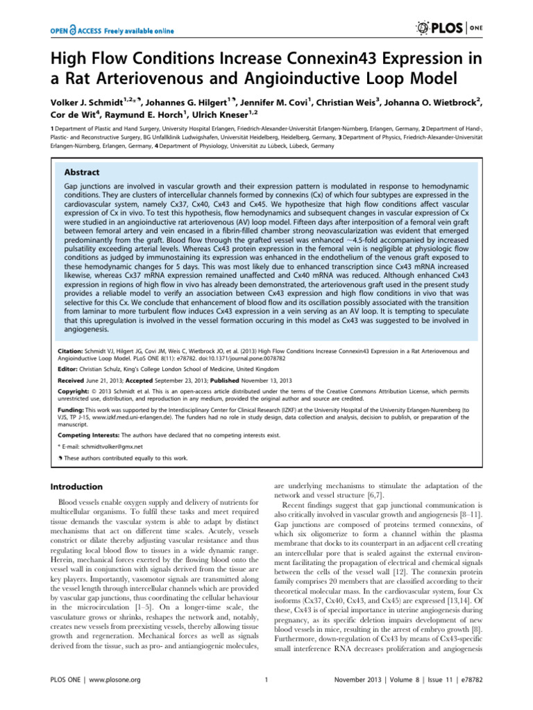 High Flow Conditions Increase Connexin43 Expression in A Rat ...