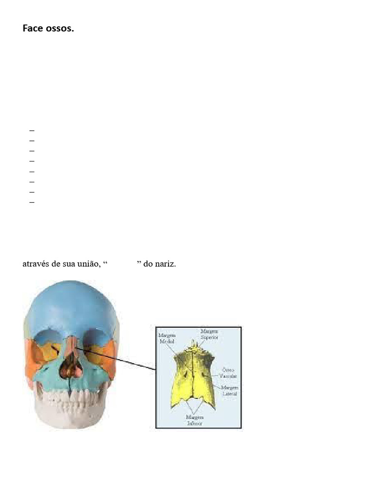 Estrutura dos 14 Ossos Faciais | PDF | Anatomia humana | Sistema ...