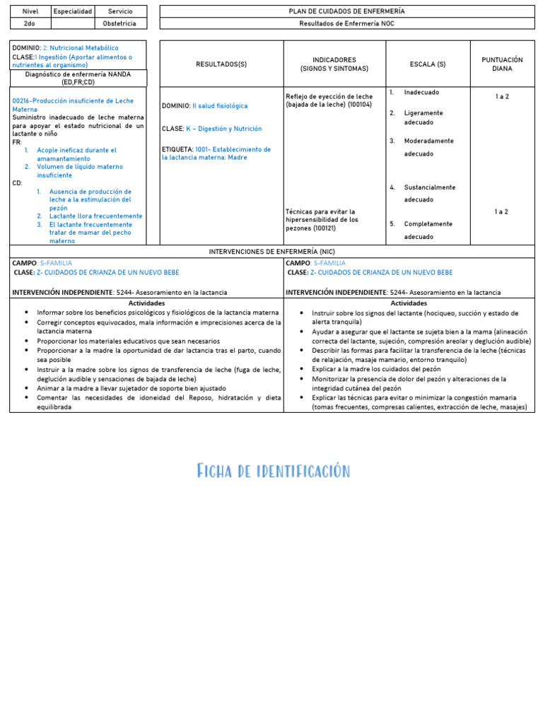 Plan de Cuidados de Lactancia | PDF | Amamantamiento | La leche materna