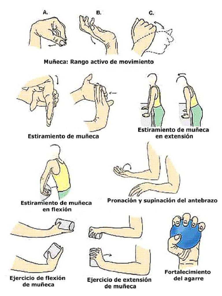 Ejercicios Estiramiento y Fortalecimiento Muñeca | PDF