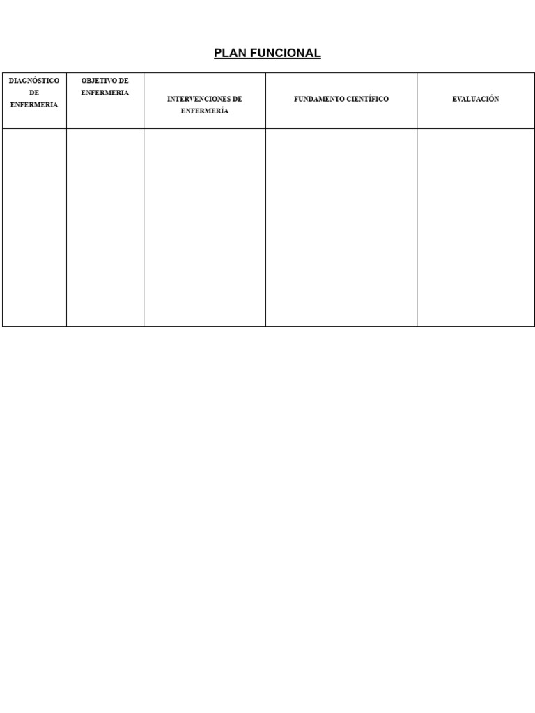 Plan Funcional | PDF