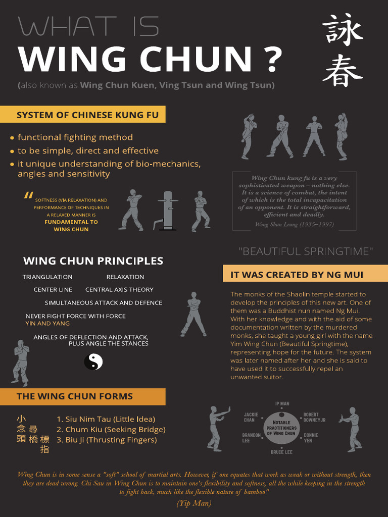 What Is Wing Chun | PDF