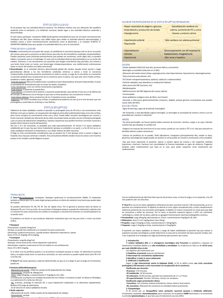 Status Convulsivo: Cambios Fisiopatológicos en El Status Epileptico ...