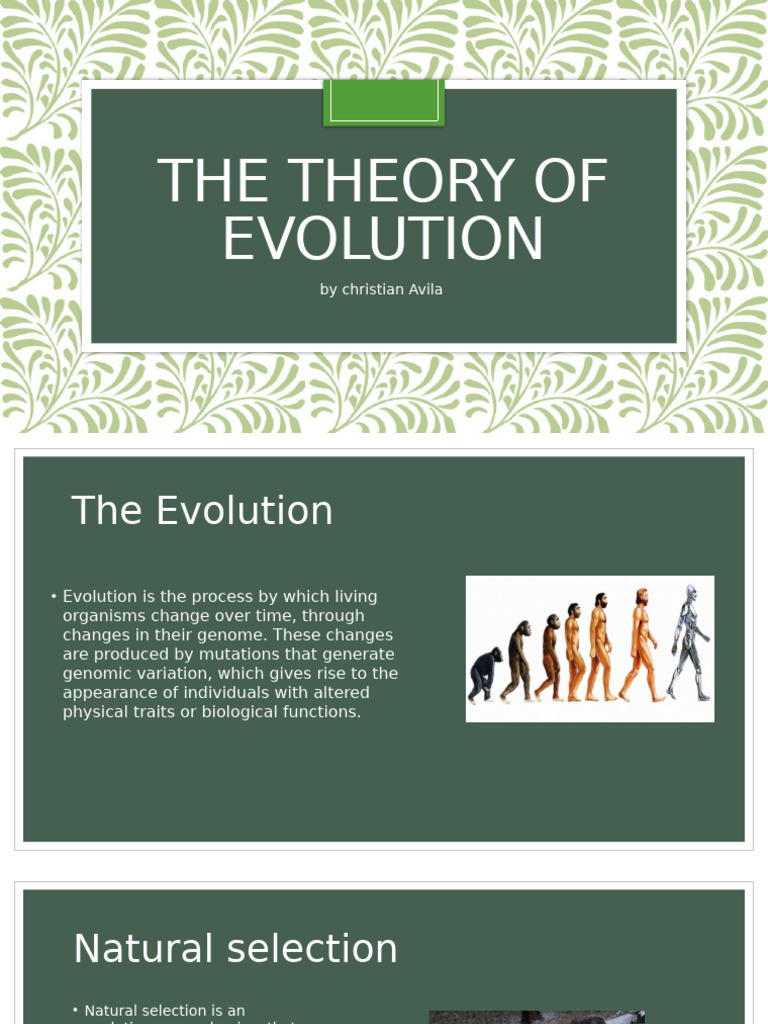 Understanding Evolution and Natural Selection | PDF