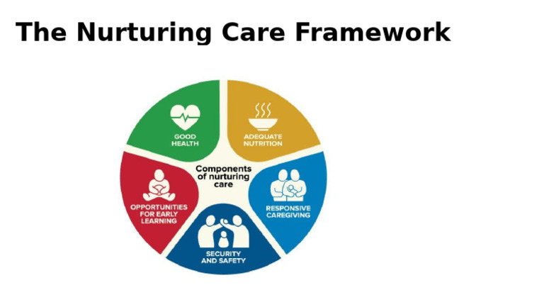 The Nurturing Care Framework | PDF