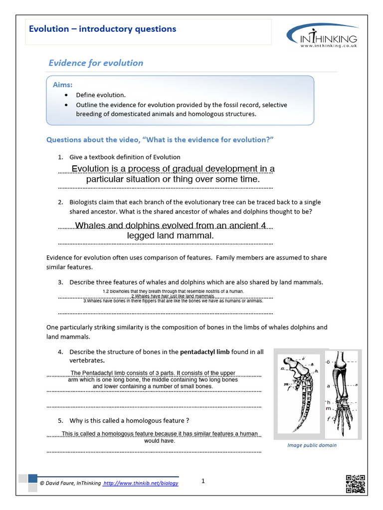 Evidence for Evolution Explained | PDF | Evolution | Whales