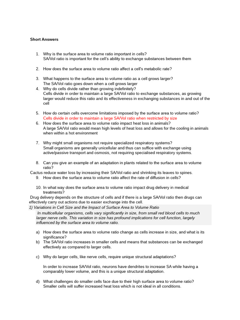 Importance of Surface Area to Volume Ratio | PDF | Red Blood Cell ...