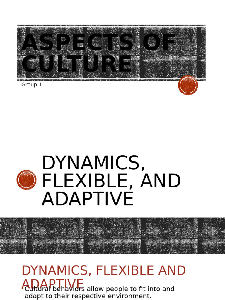 Aspects of Culture 1 | PDF | Socialization | Society