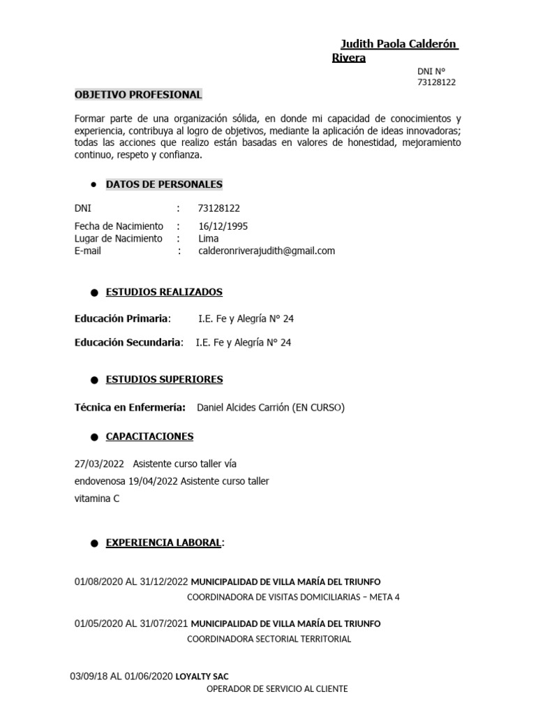 Cv. Judith Paola Calderon | PDF