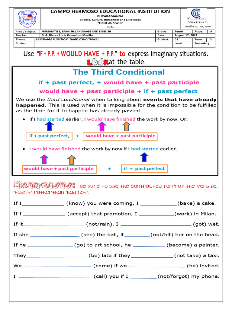 Third Conditional Exercises Guide | PDF