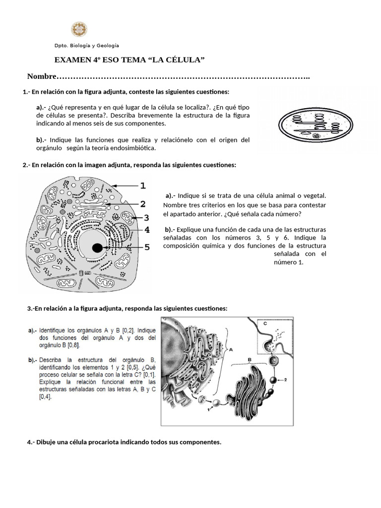 Examen Tema1 CÉLULA | PDF