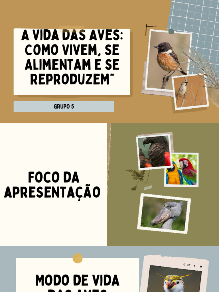 Classification of Living Things Education Presentation in Collage Neat ...