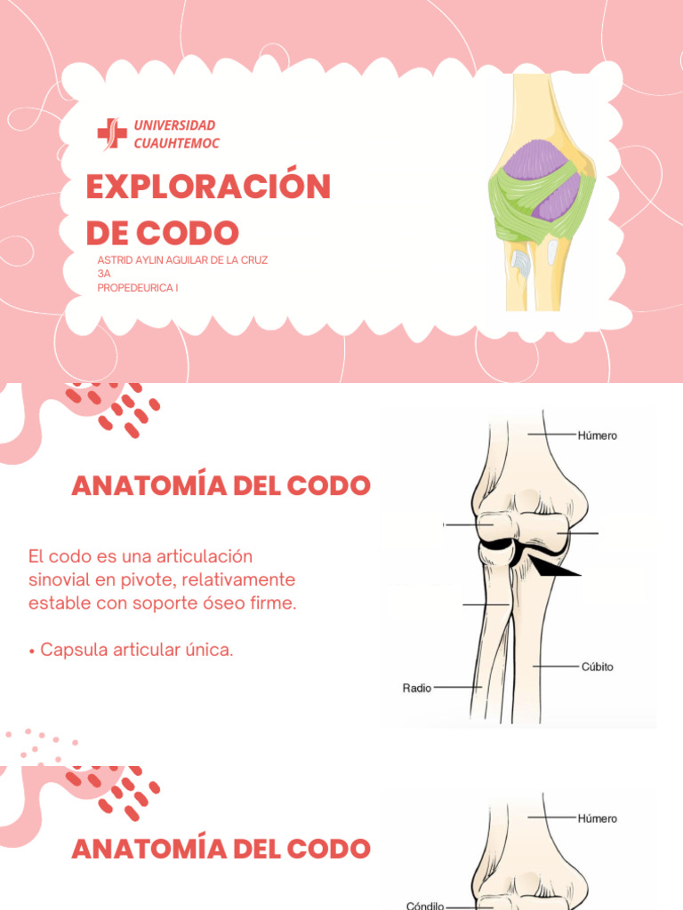 Exploración de Codo | PDF | Codo | Articulación