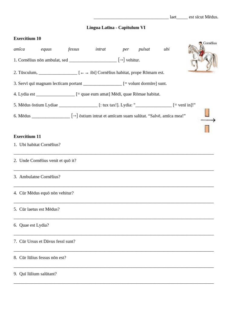 Lingua Latina - Capitulum VI - Exercitia 10 + 11 | PDF