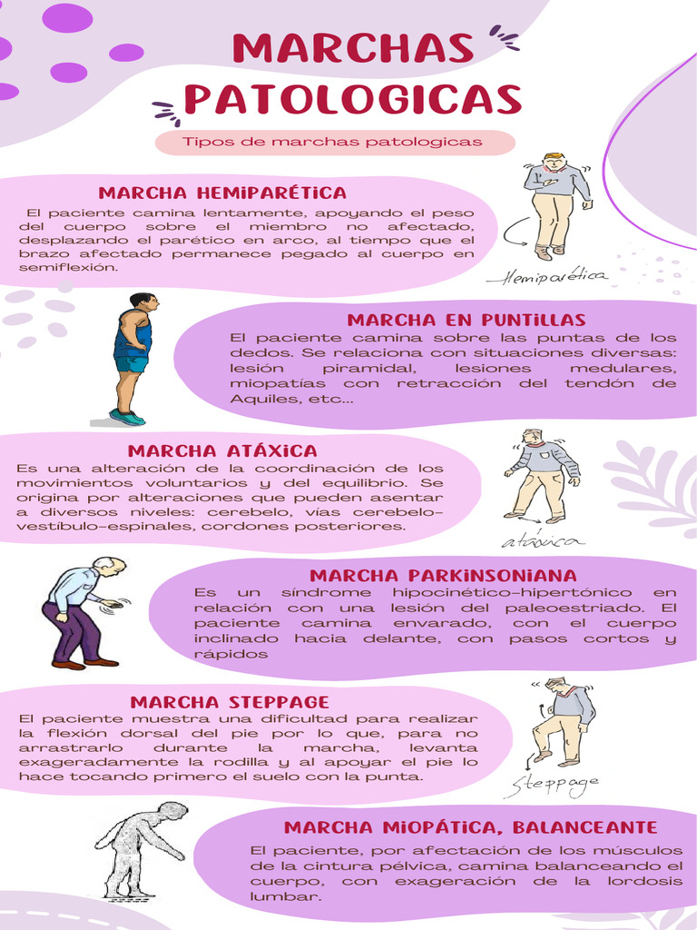 Infografia Marcas Patologicas | PDF