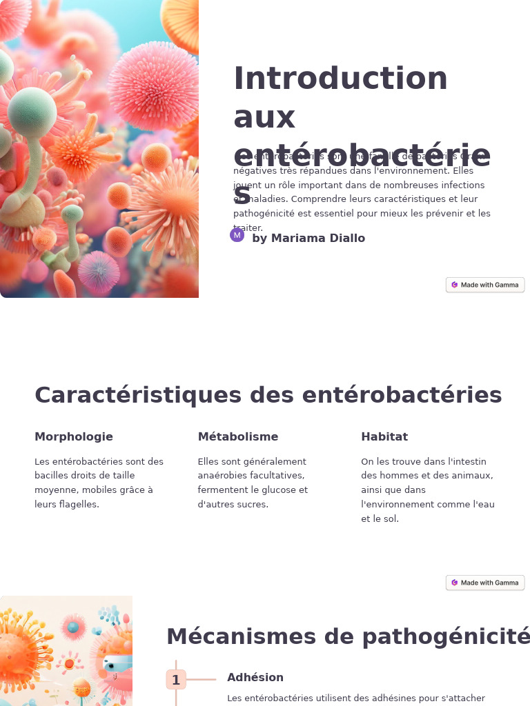 Caractéristiques des entérobactéries | PDF | Escherichia coli | Bactérie