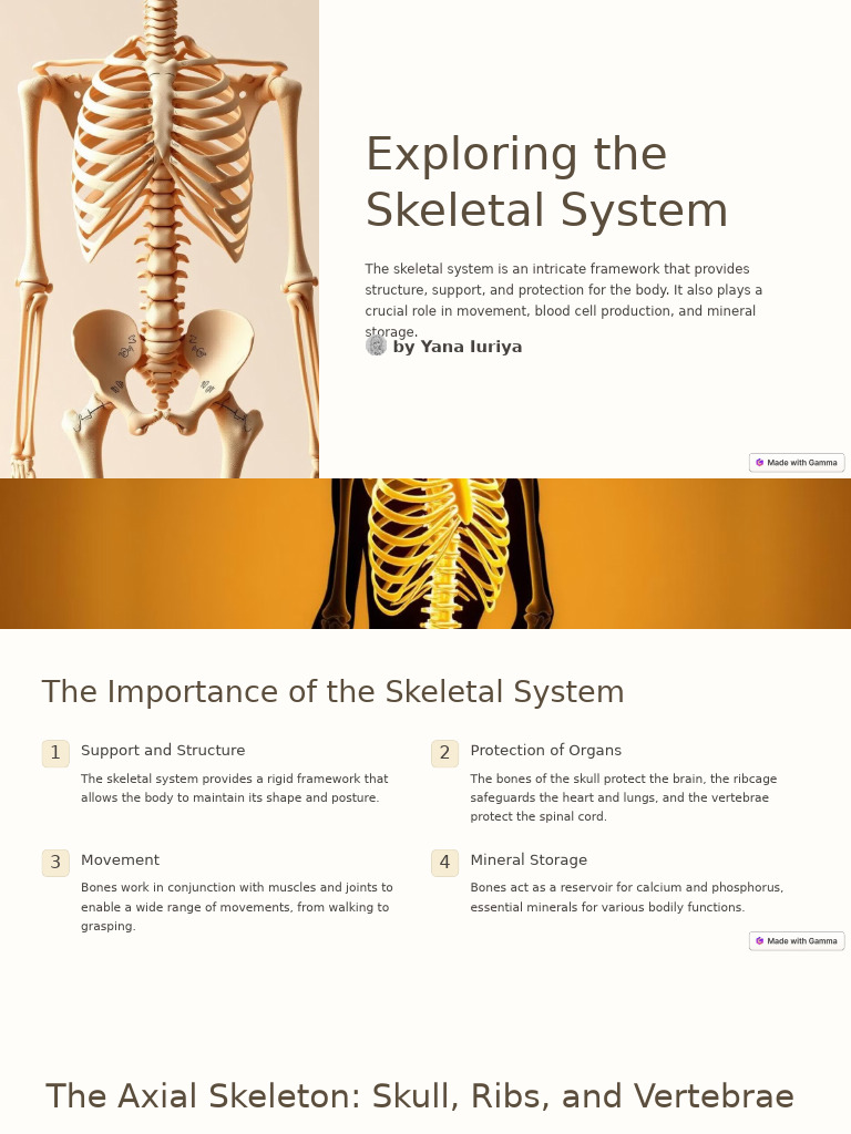 Understanding the Skeletal System | PDF | Bone | Skeleton