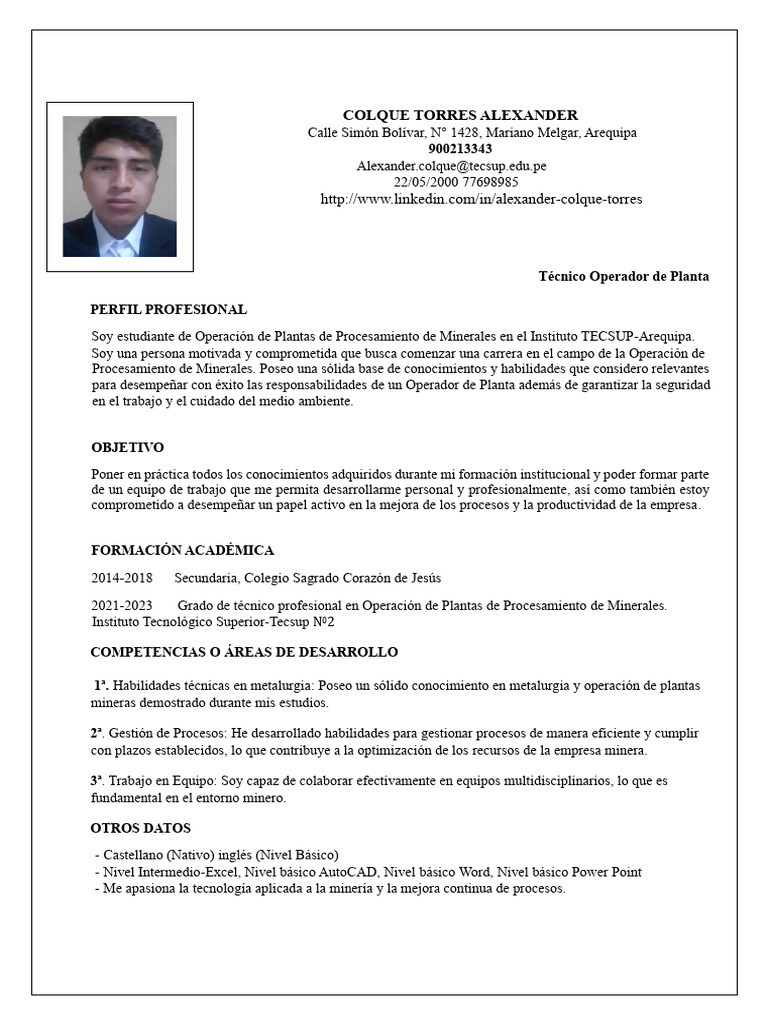 CV Alex Colque Torres | PDF