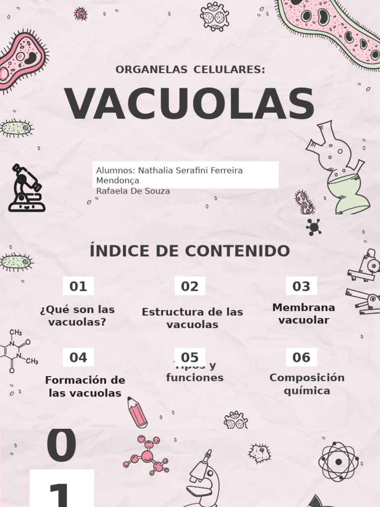 Vacuolas: Estructura y Funciones Celulares | PDF | Vacuole | Biología ...