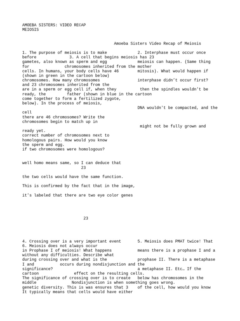Meiosis Amoeba Sisters | PDF | Meiosis | Mitosis