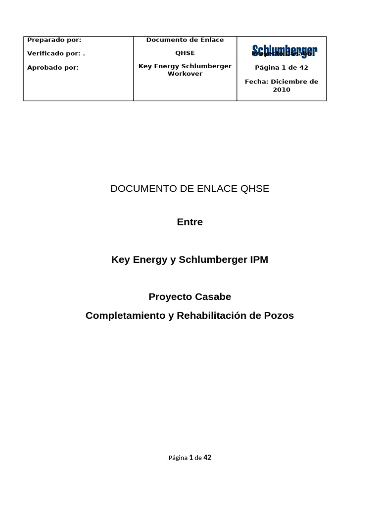 Bridging_Document Revisado 25-03JASV (2).Comentarios Roger | PDF | Simulación