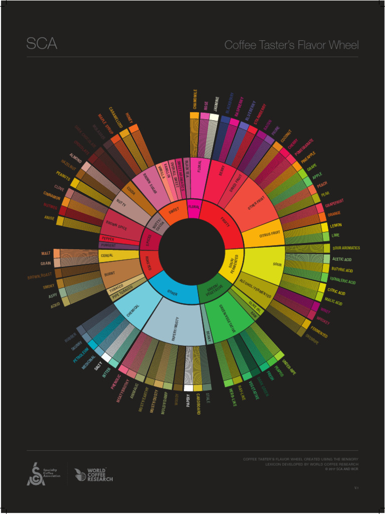 AW - SCA - Flavor-Wheel - Poster - ENG - Reworked v3 | PDF