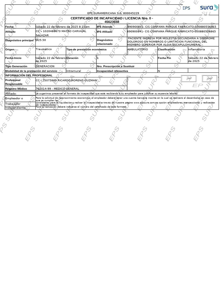 Formato Incapacidad Eps Sura | PDF | Enfermedades y trastornos ...