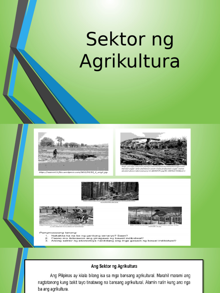 Sektor NG Agrikultura. AP 9 4TH Q | PDF