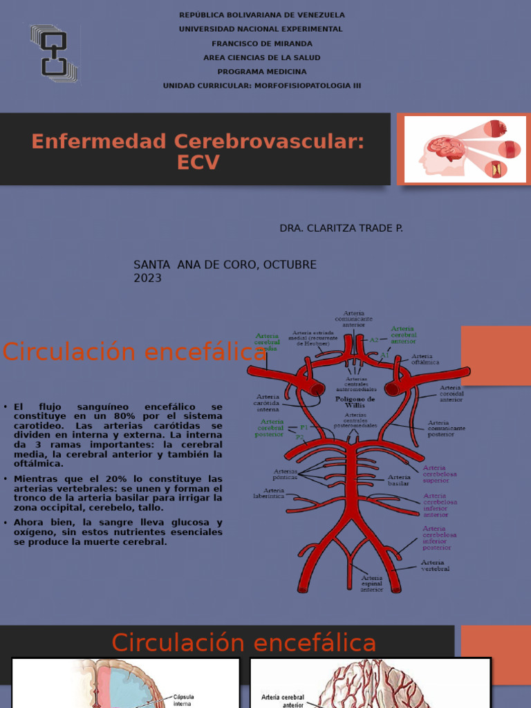 Enfermedad Cerebrovascular Corregida Octubre 2023 | PDF | Carrera | Isquemia