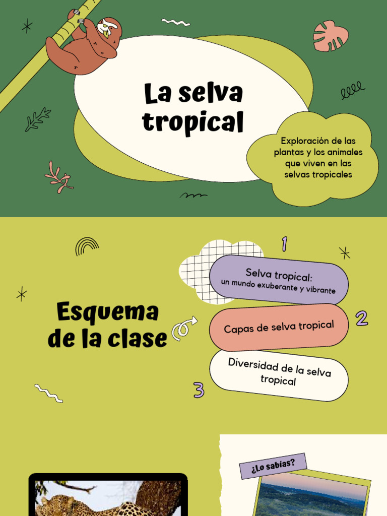 Selva Tropical | PDF | Selva | Los bosques