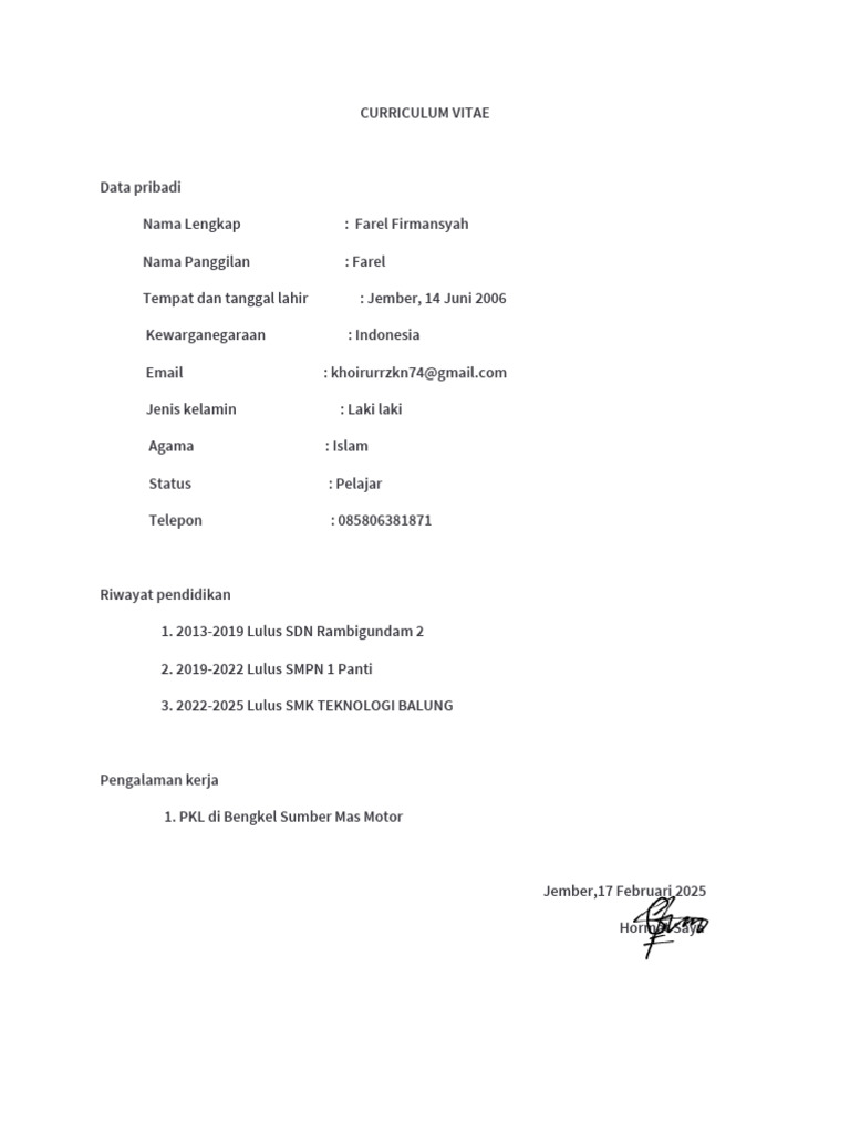 CURRICULUM VITA-WPS Office | PDF