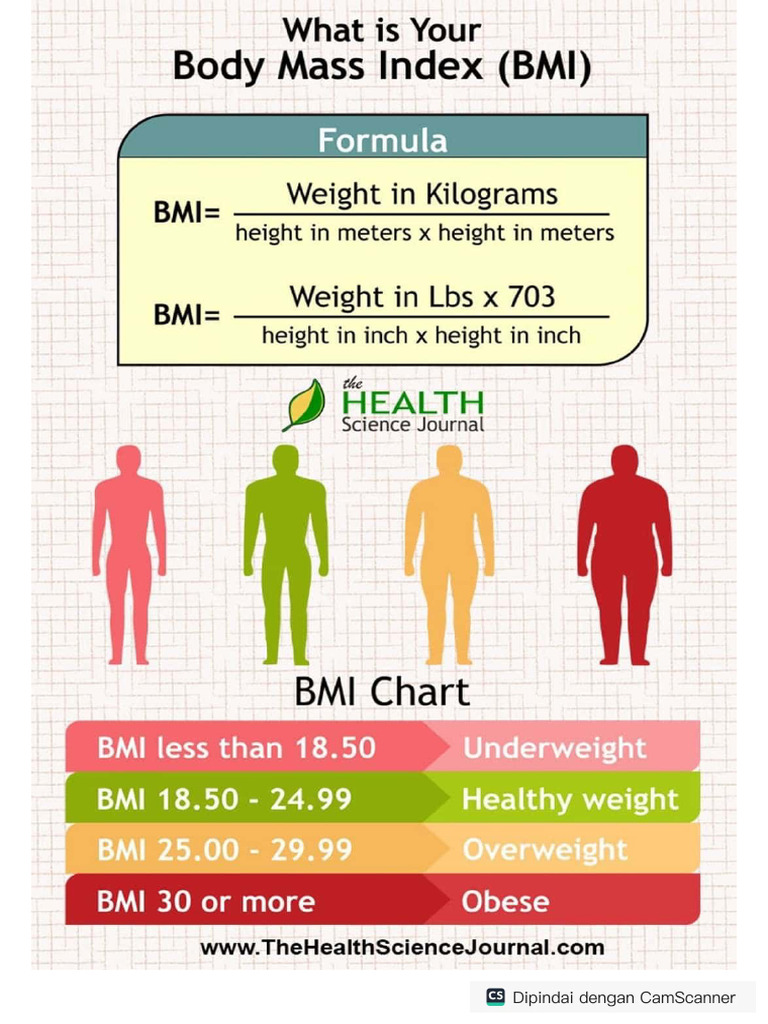 Perhitungan BMI | PDF