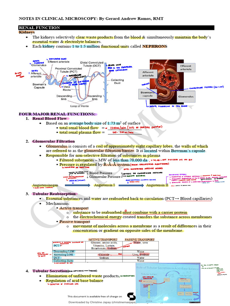 AUBF | PDF | Kidney | Creatinine
