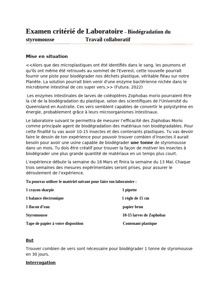 Biodégradation du styromousse par Zophobas | PDF | Biodégradation ...