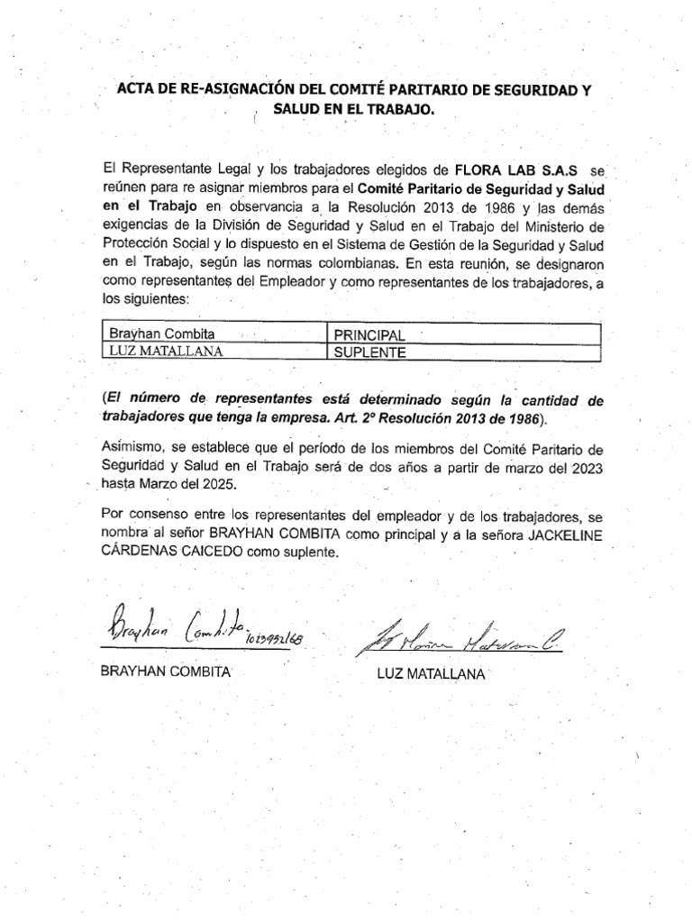 Comité Paritario 2024 | PDF