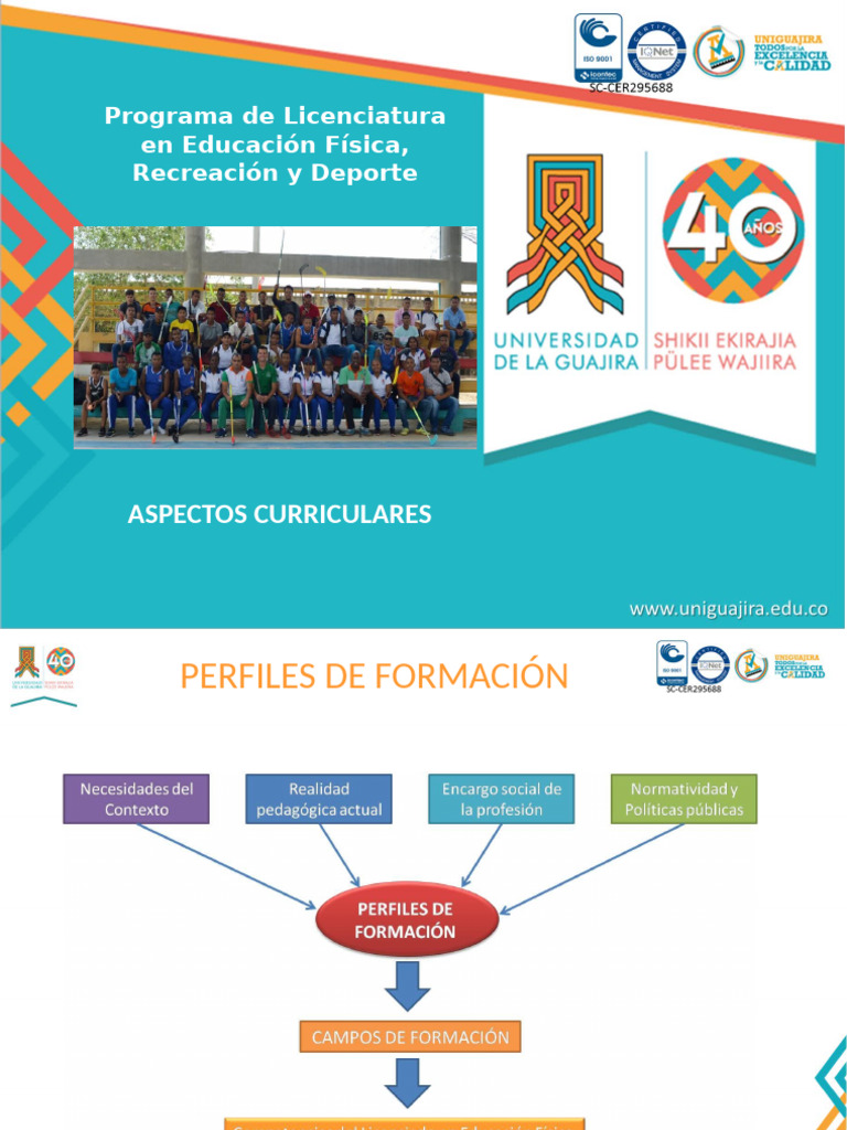 Comite Curricular | PDF | Constructivismo (filosofía de la educación) | Pedagogía