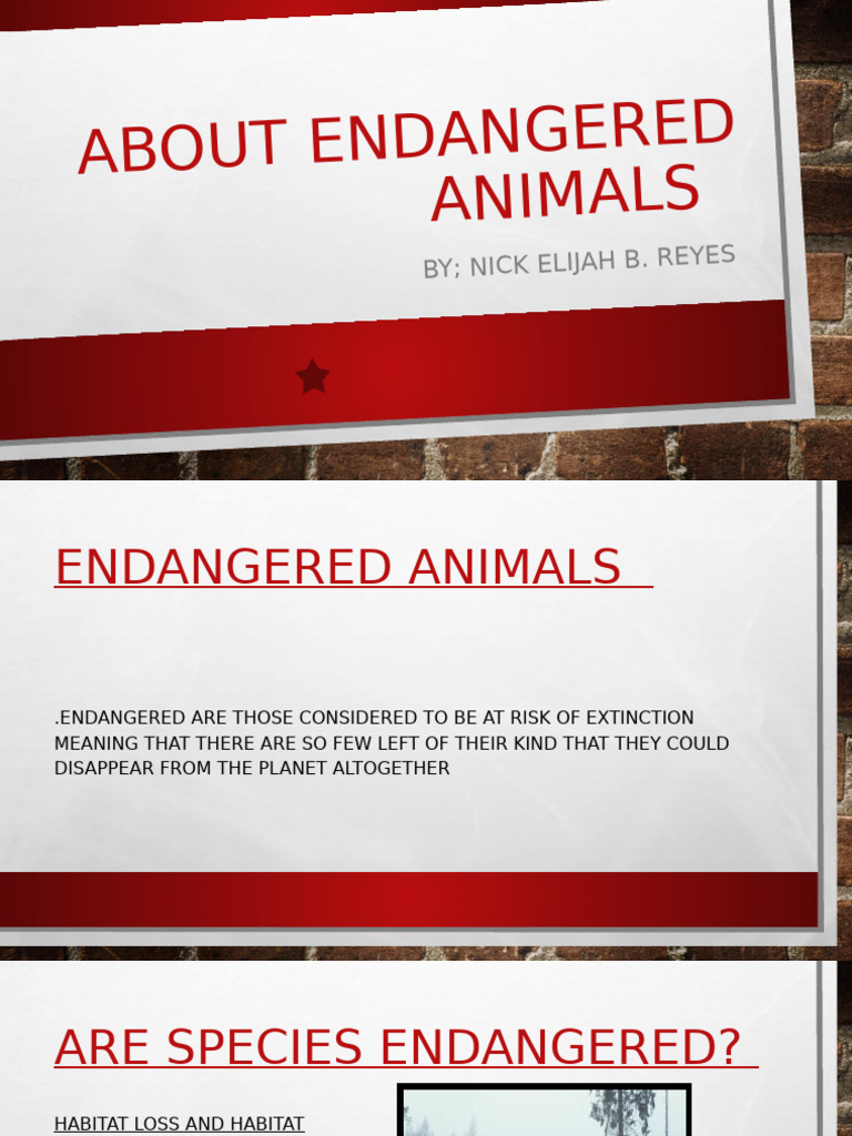 About Endangered Animals | PDF