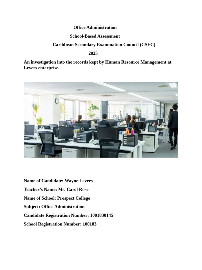 Human Resource Records Analysis 2025 | PDF | Human Resources | Employment