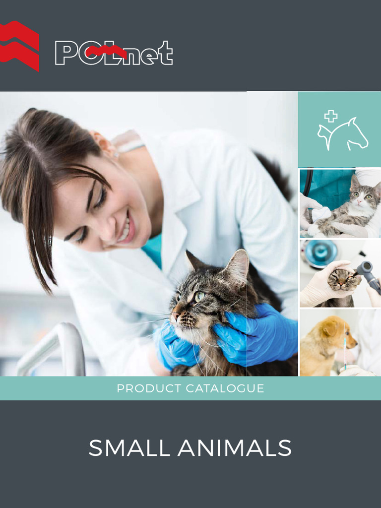 Polnet Male Zwierzeta 10-2021 Eng | PDF | Blood Pressure