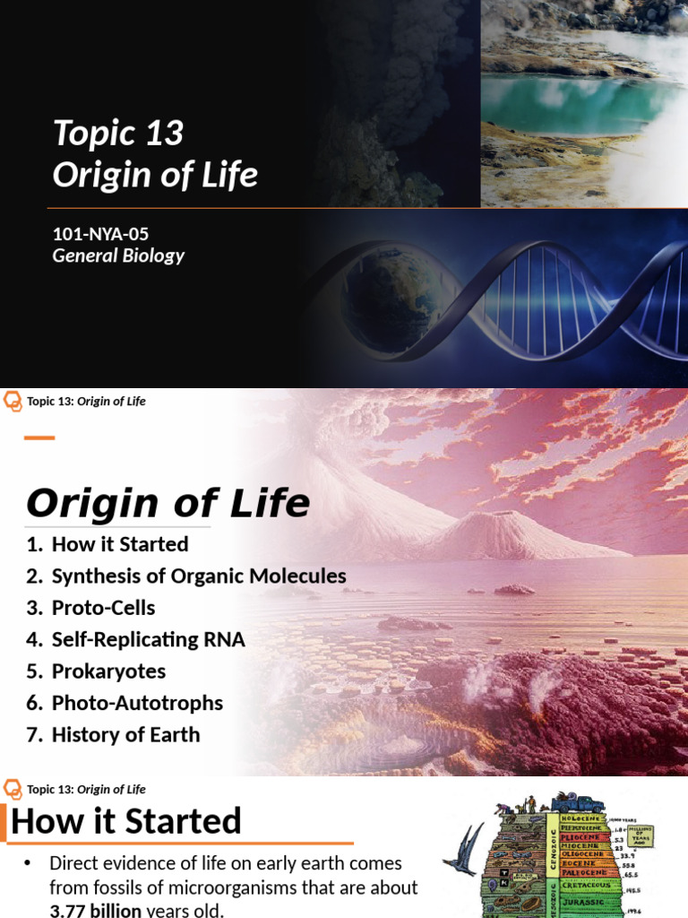 13 Origin of Life | PDF | Abiogenesis | Biosynthesis