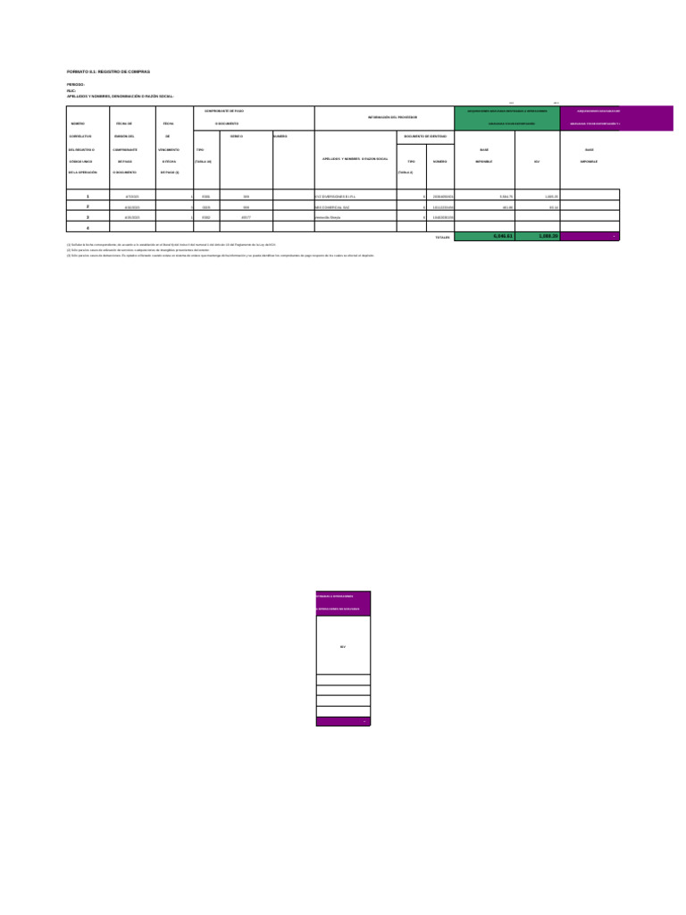 Formato 8.1 Registro de Compras | PDF