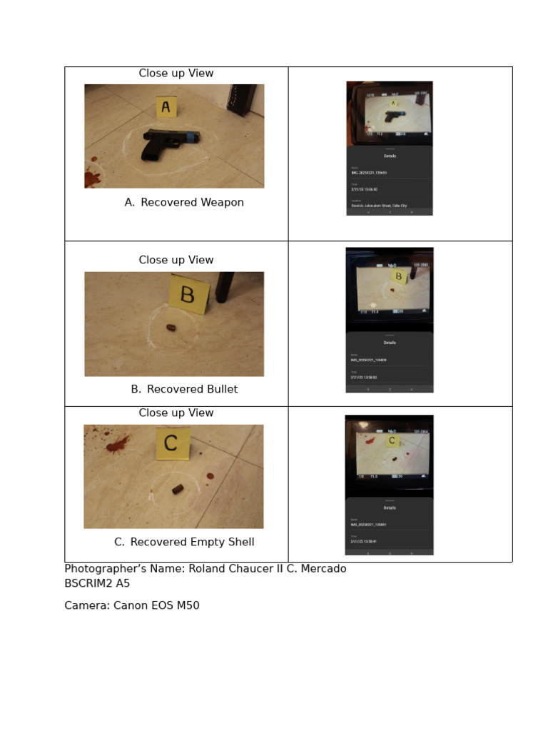 Close-Up Views of Crime Scene Evidence | PDF
