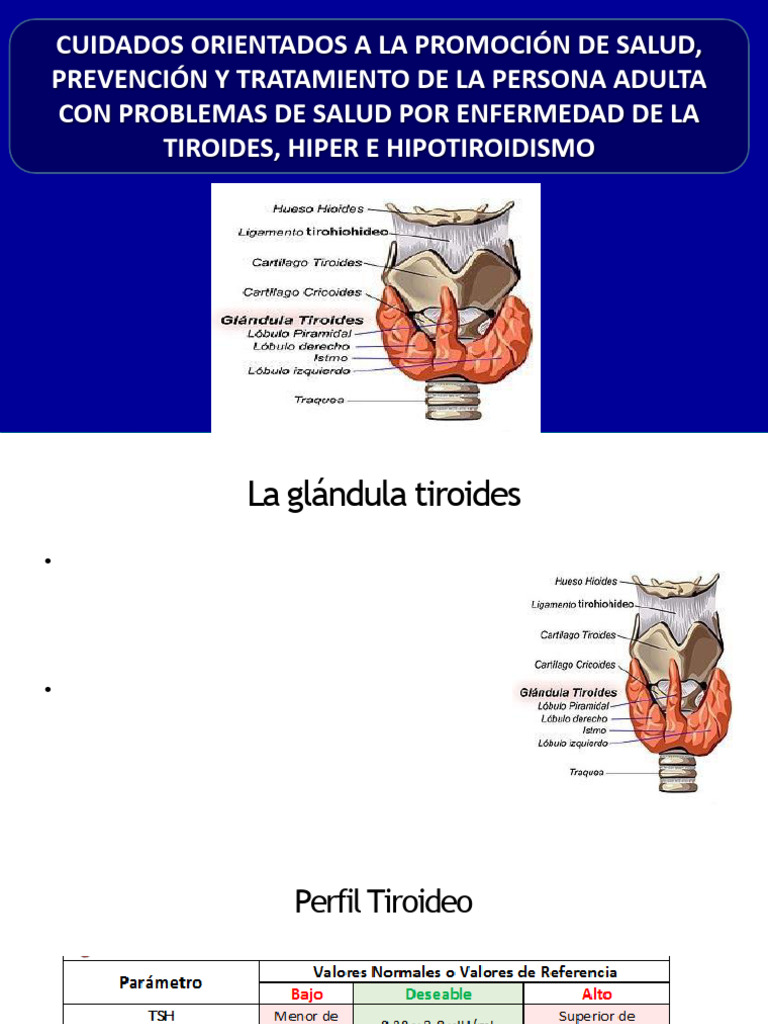 Cuidados y Tratamientos de Tiroides | PDF | Hipertiroidismo | Tiroides
