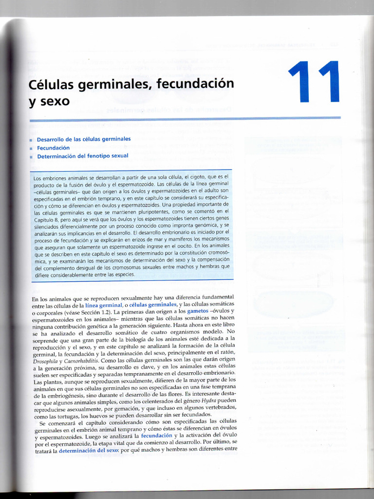Capitulo 11 Wolpert Celulas Germinales | PDF