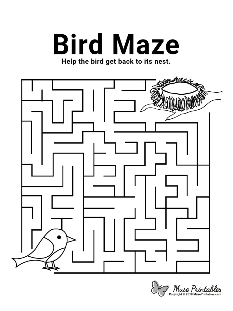 bird-maze | PDF