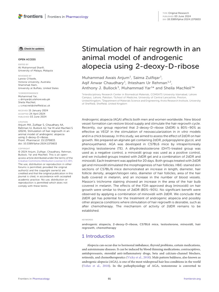 Hair | PDF | Hair Loss